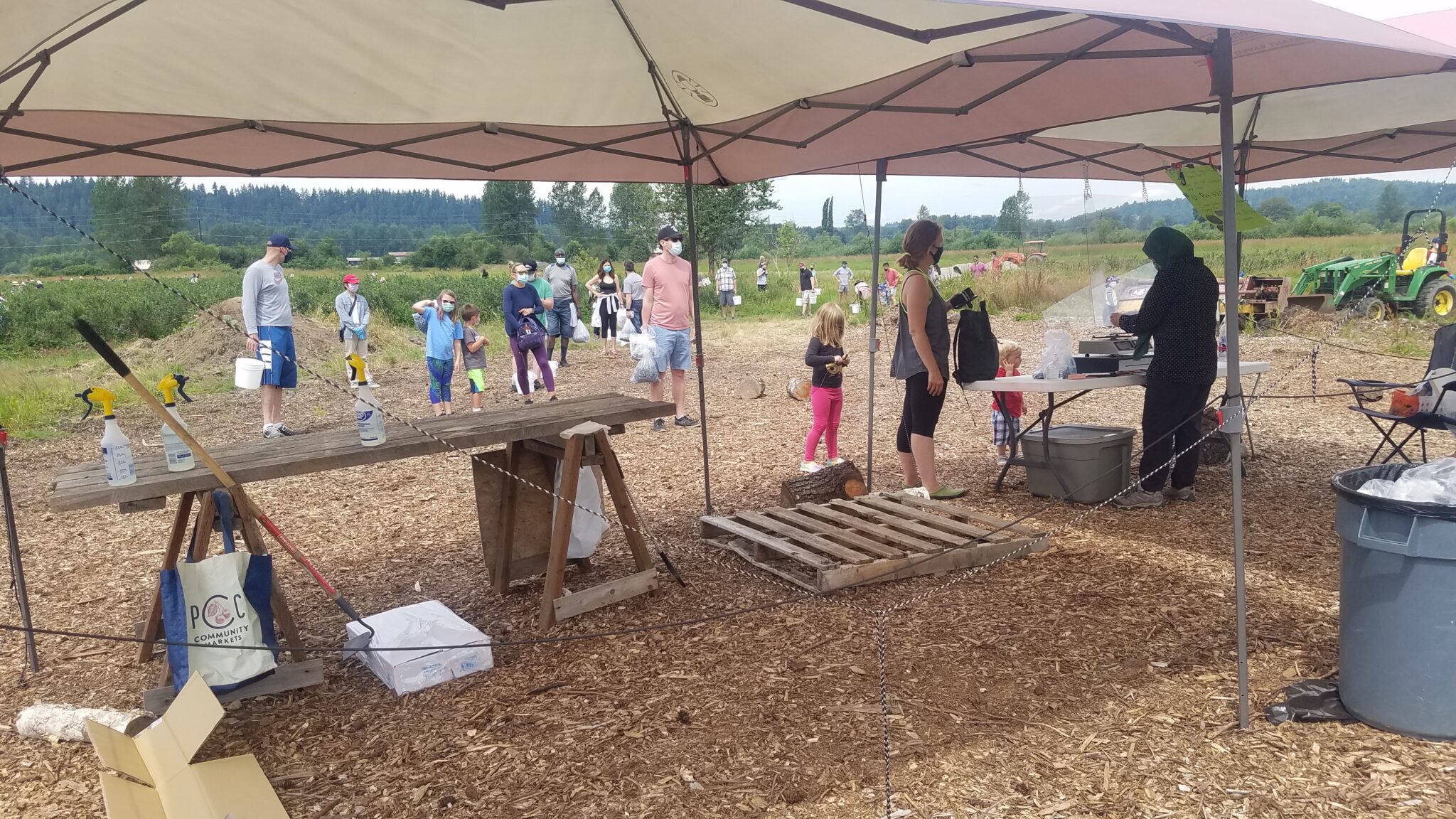 About Henna Blueberry Farm – Henna Blueberry Farm